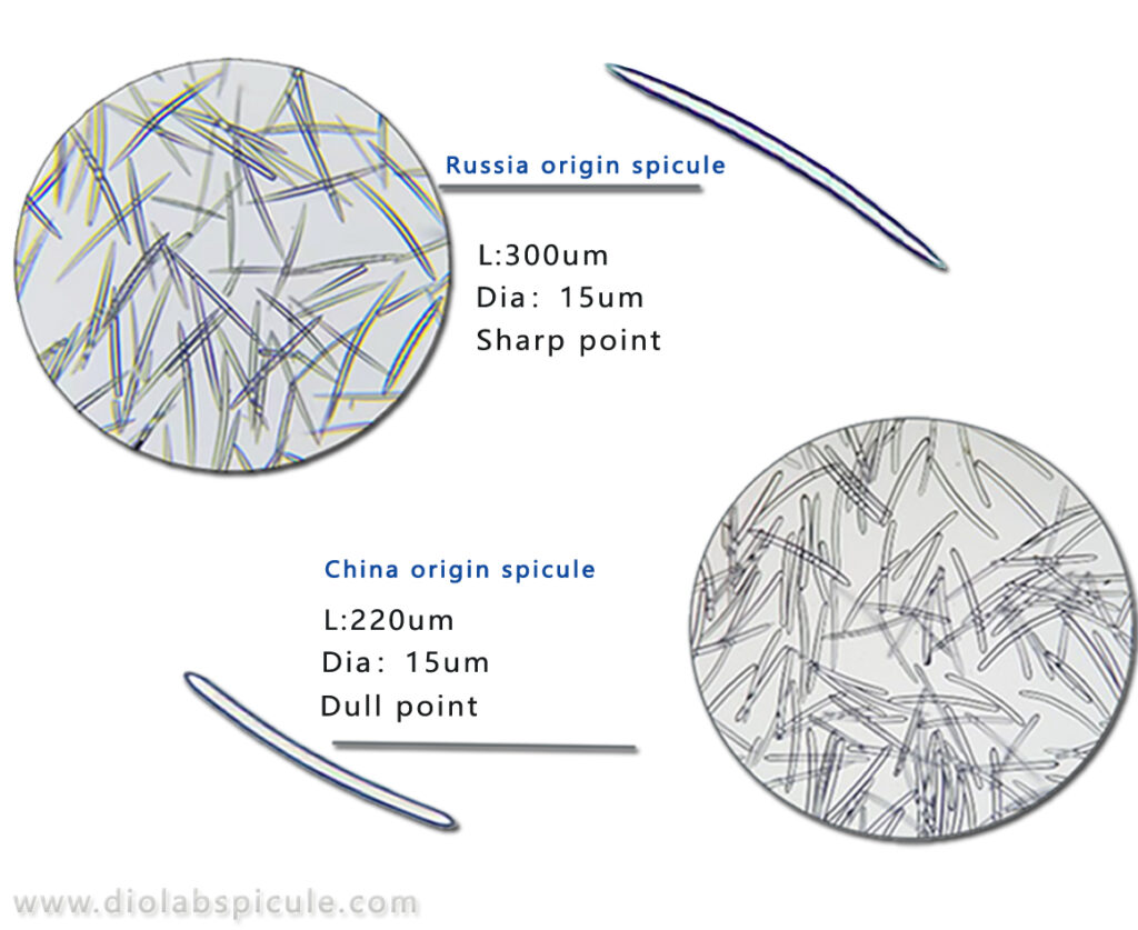 How to choose Hydrolyzed sponge(spicule) powder? - Diolabspicule